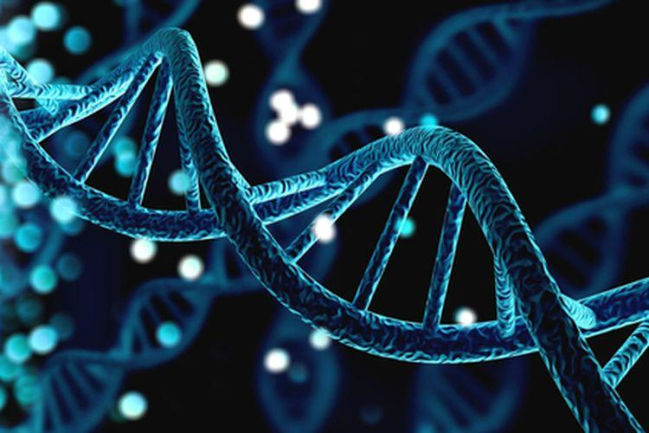 Tes DNA: Definisi, Tujuan, Prosedur, dll. - Hello Sehat