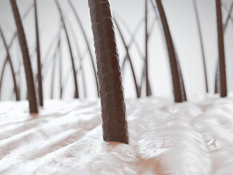 Bulu Halus di Pori-Pori Wajah, Apakah Perlu Menghilangkannya?