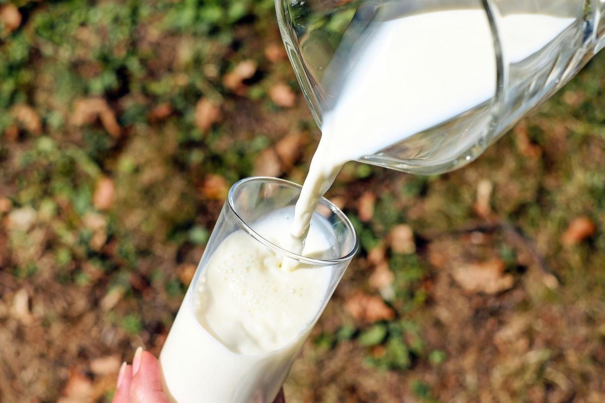 5 Merk Susu Pasteurisasi Terbaik yang Aman Dikonsumsi - Hello Sehat
