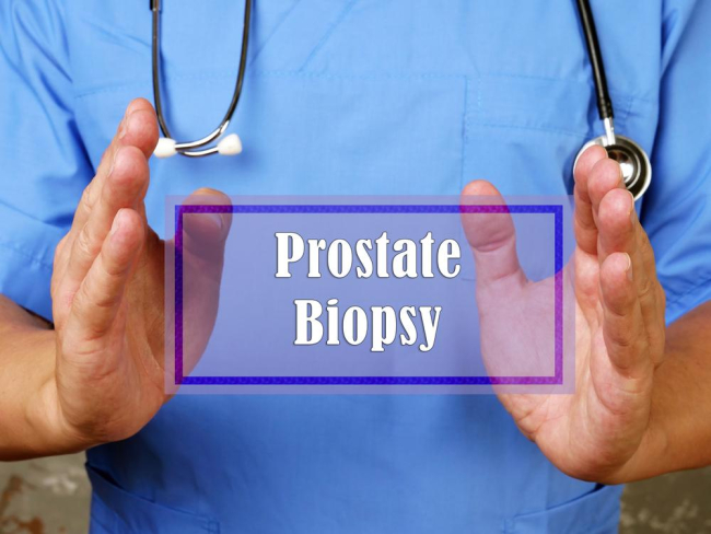 Biopsi Prostat Robotik Tujuan Persiapan Prosedur Dll