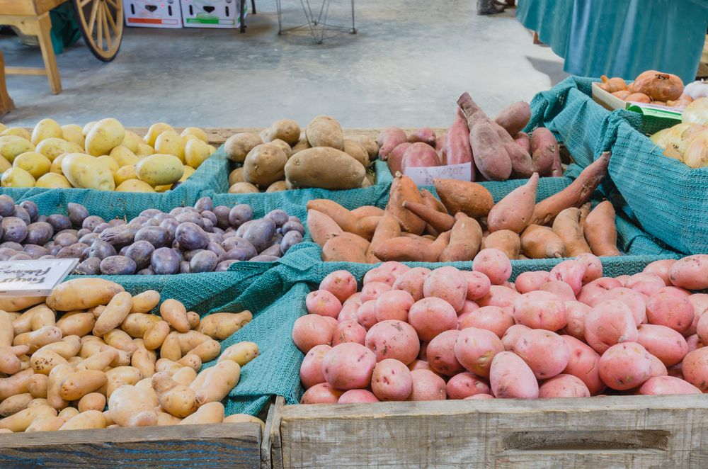 10 Jenis Umbi-Umbian, Pilihan Sumber Pangan Sehat