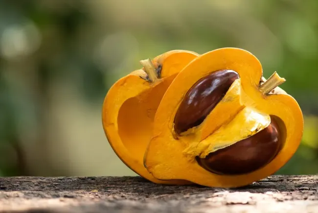 8 Khasiat Buah Alkesa, Jaga Kesehatan Mata hingga Imun