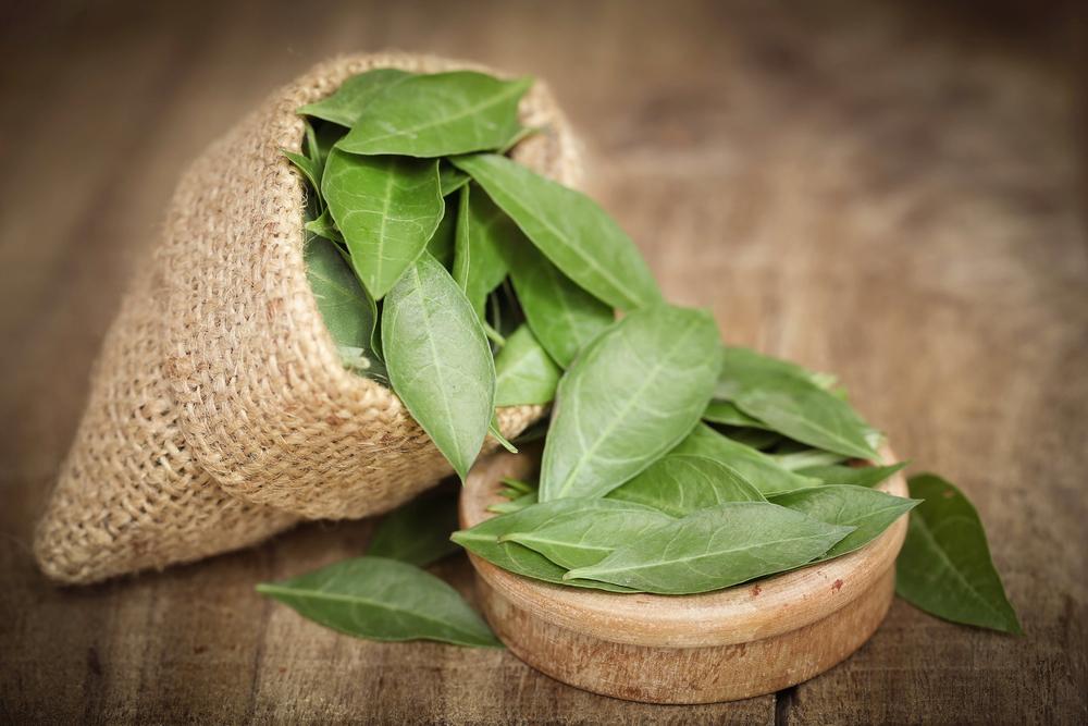8 Manfaat Daun Pacar untuk Kesehatan dan Kecantikan - Hello Sehat