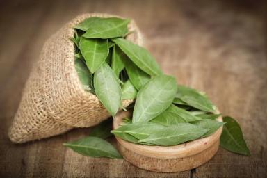 8 Manfaat Daun Pacar untuk Kesehatan dan Kecantikan - Hello Sehat