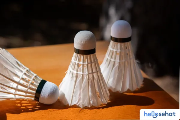 10 Shuttlecock Terbaik untuk Pemula hingga Profesional