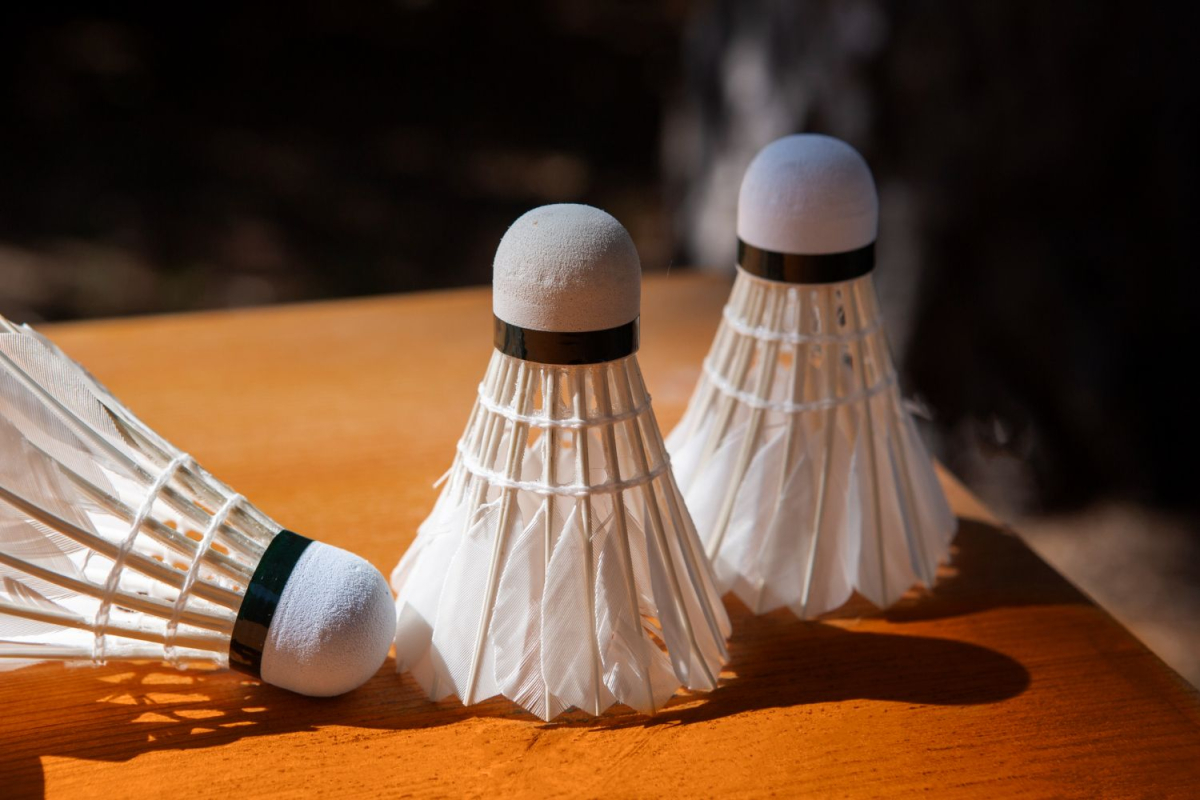 10 Shuttlecock Terbaik untuk Pemula hingga Profesional