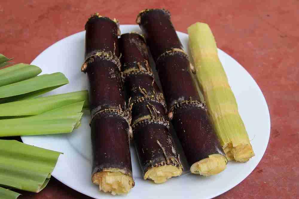 6 Manfaat Tebu Hitam yang Tidak Banyak Diketahui
