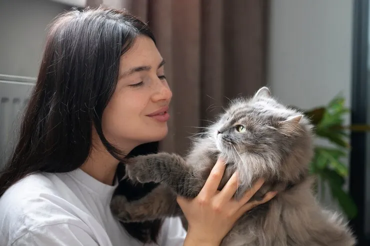 7 Cara Mudah Memanggil Kucing agar Cepat Datang
