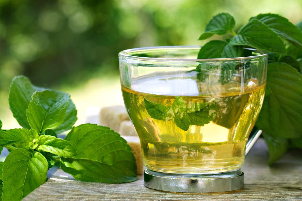 7 Daun untuk Obat Asam Lambung dan Cara Mengolahnya