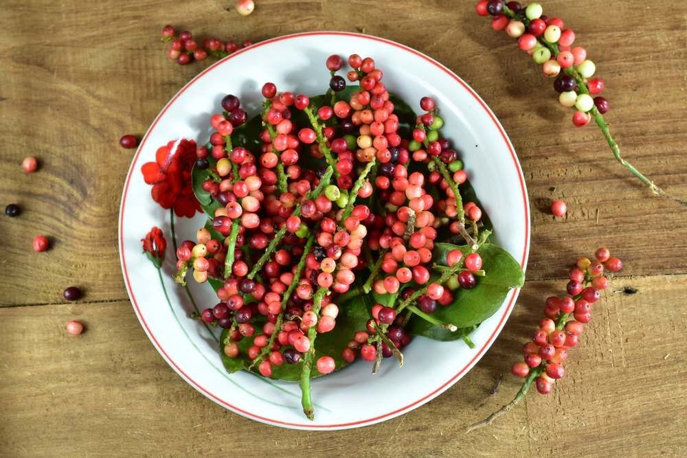 8 Manfaat Buah Buni, Buah Mungil yang Kaya Antioksidan