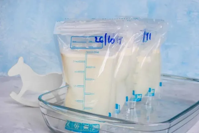 8 Merk Cooler Bag ASI Terbaik Agar Kualitasnya Terjaga - Hello Sehat