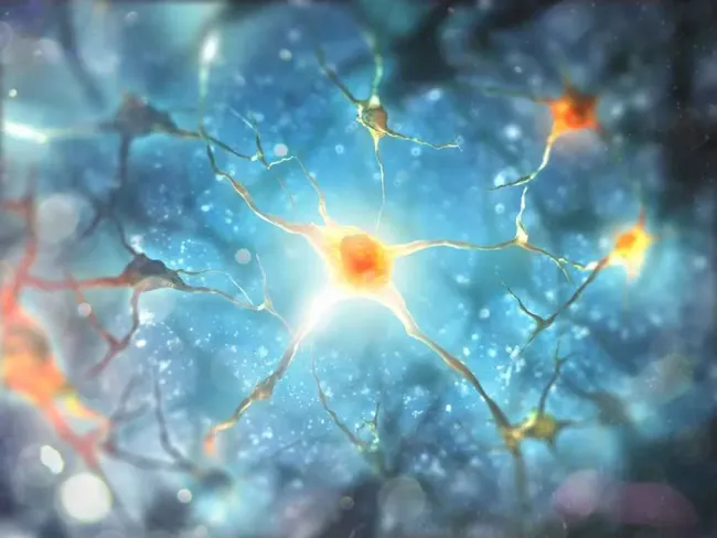 Ketahui 6 Perbedaan Saraf Simpatik dan Parasimpatik