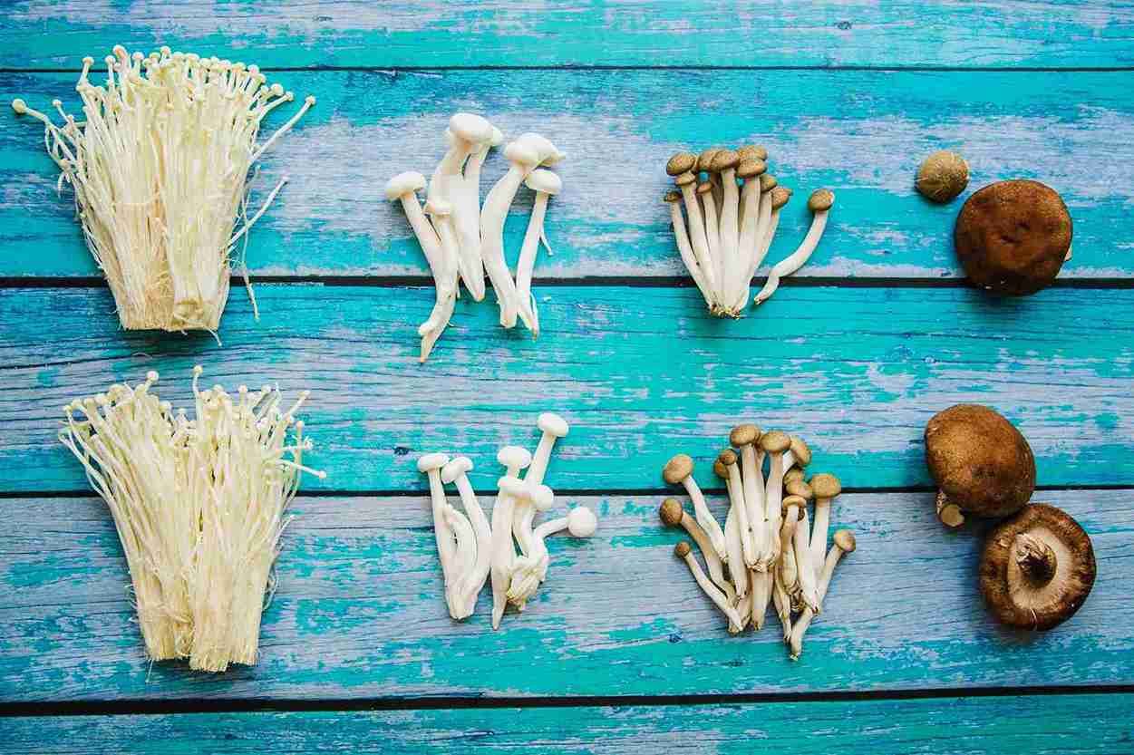 10 Jenis Jamur yang Bisa Dimakan dan Rasanya Lezat