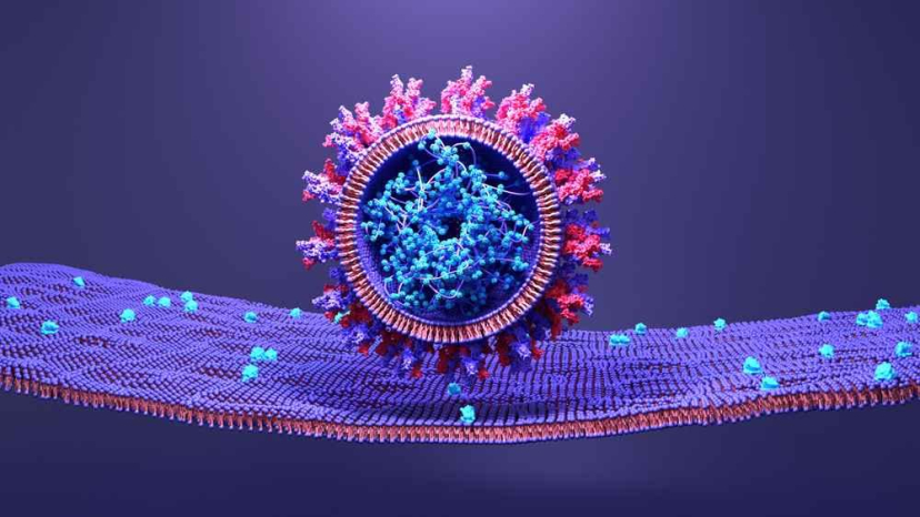 Apa Itu Siklus Litik dan Lisogenik pada Replikasi Virus?