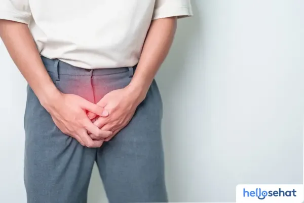 TURP: Prosedur untuk Mengatasi Pembesaran Prostat - Hello Sehat