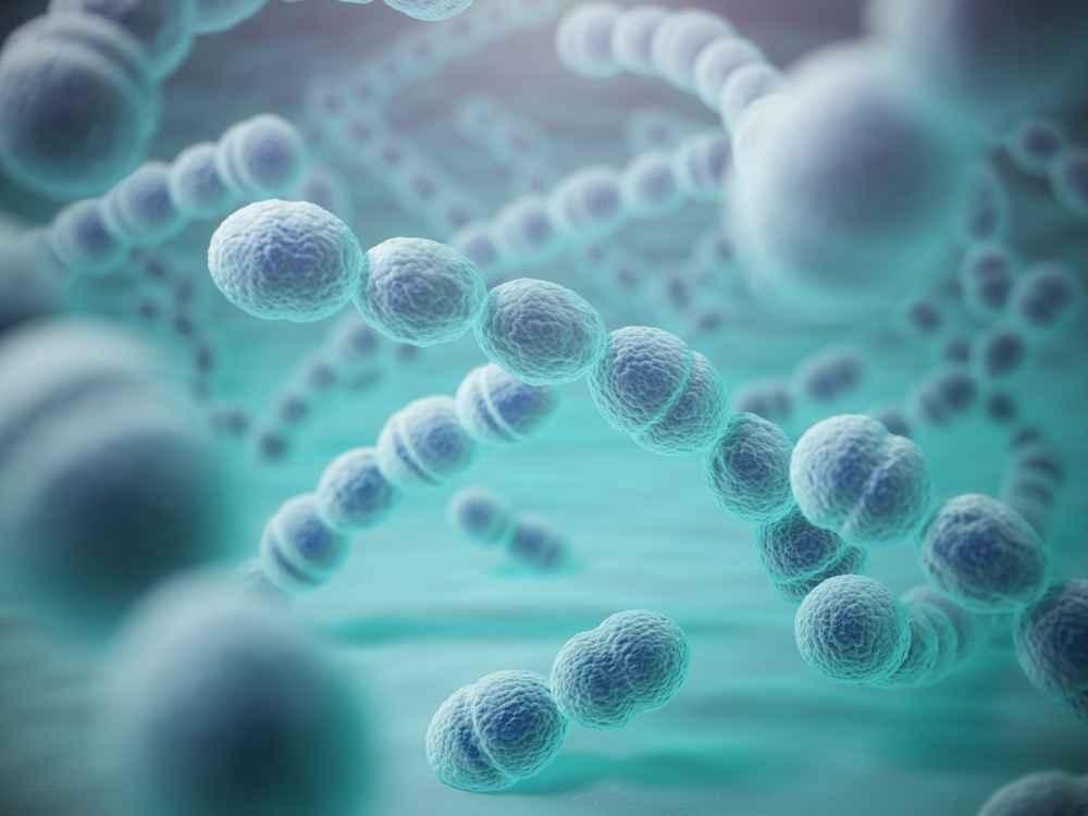 Mengenal Pneumokokus, Bakteri Penyebab Pneumonia